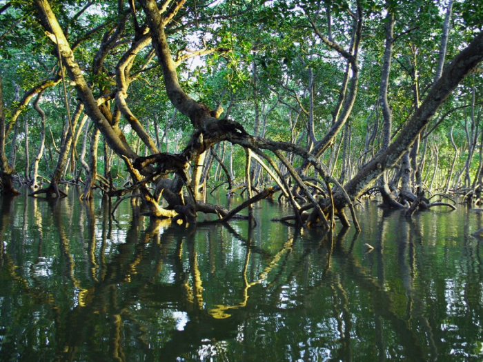 Fulfilling a Legacy of Societal Risk Management