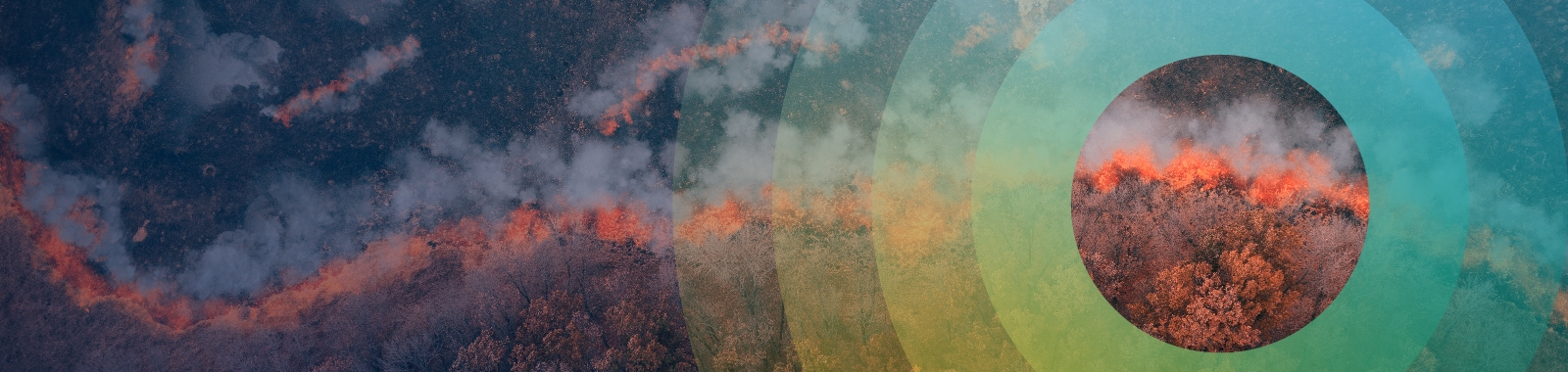 Turning down the heat