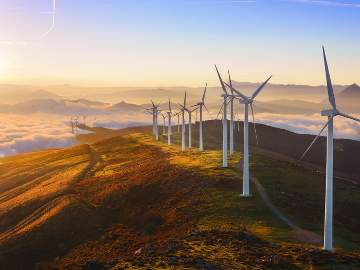 Climate Resilience: 5 Steps To Strengthen Supply Chains